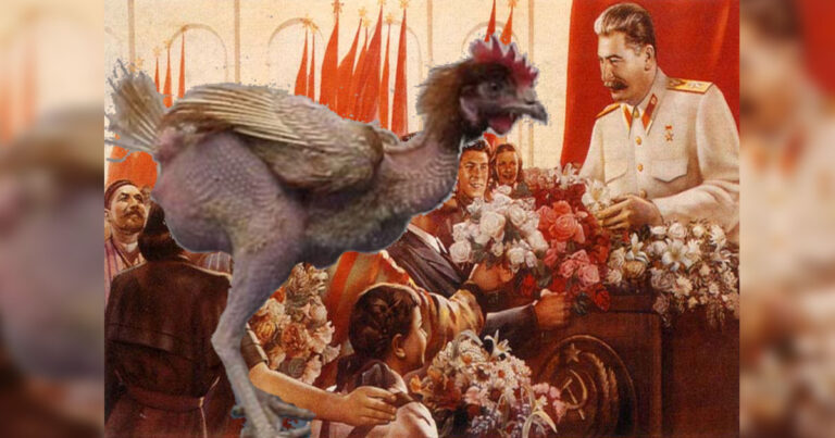 Stalin y la gallina - Ruiz Healy Times