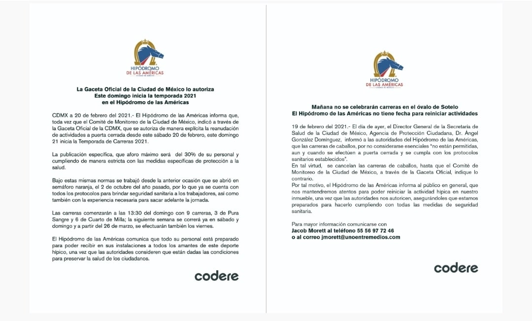 La Auditoría, Codere y los Caballos Pura Sangre | Ruiz Healy Times